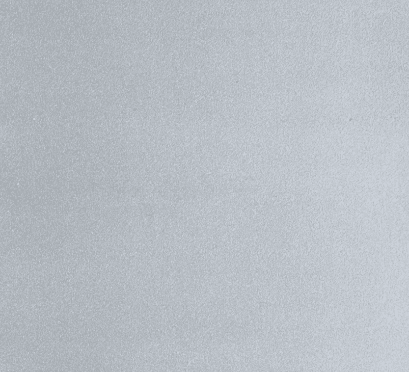 Pearl Perfect Metallic Decorative Wall Paint • Cadence Boya